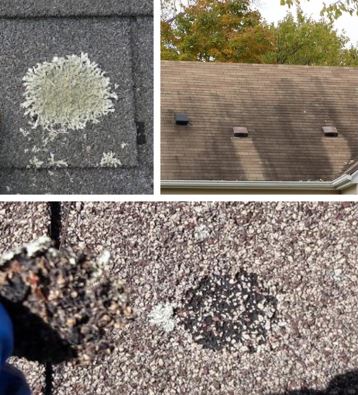 Expert Roof Inspections: Protect Your Home | Roof Experts
